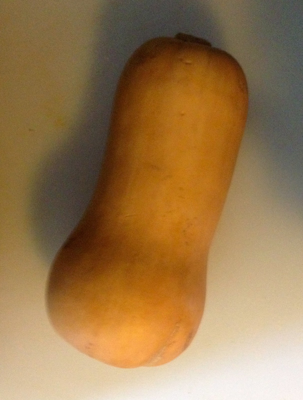 Mama Works It Homemade Baby Food Squash mama-works-it-homemade-baby-food-squash