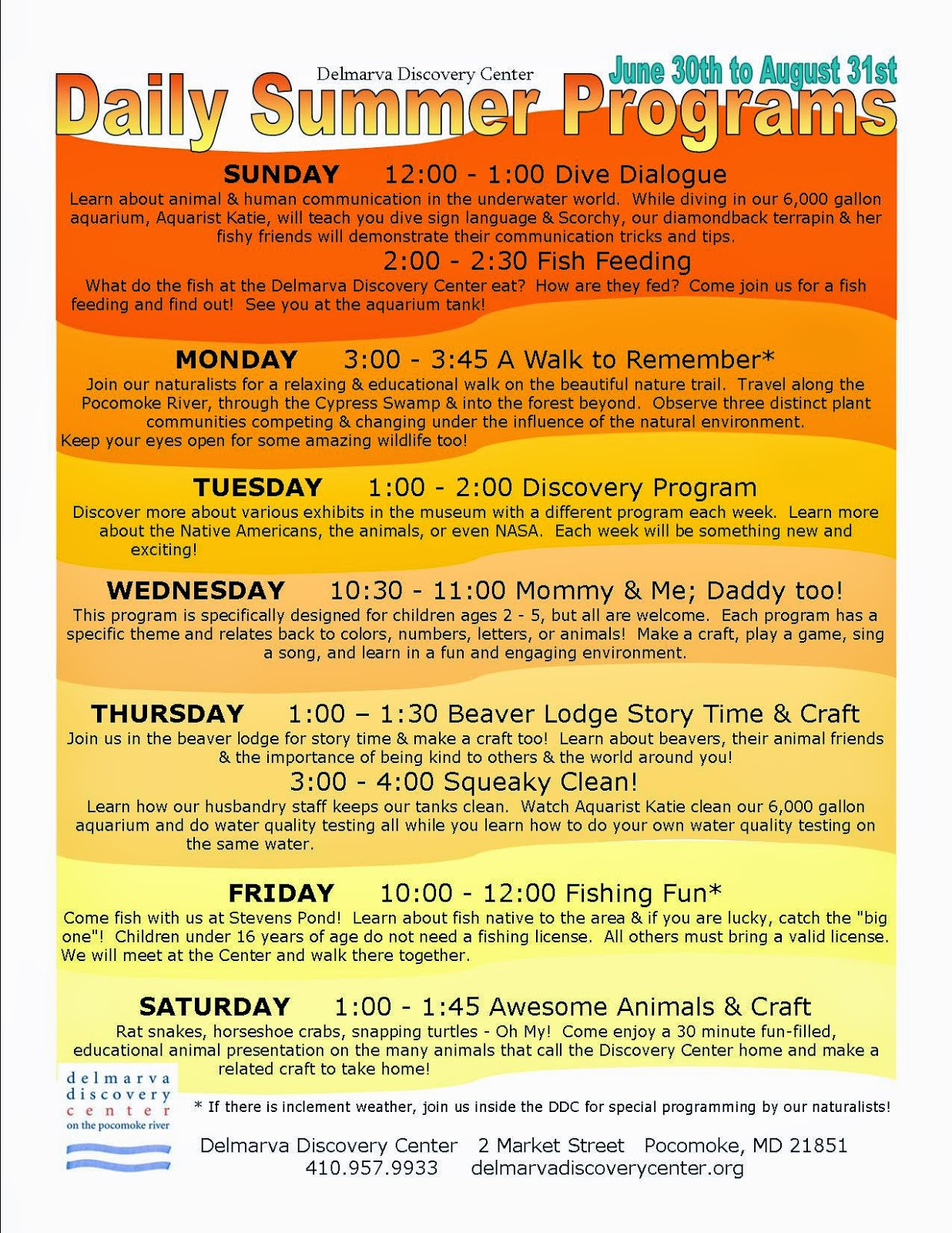 The Pocomoke Public Eye Delmarva Discovery Center Daily Summer the-pocomoke-public-eye-delmarva-discovery-center-daily-summer