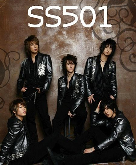top kpop music: SS501 : Members Profile