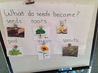 Miss Jenny's ELL and Bilingual Resources : Seeds Reading Street Unit 3 ...