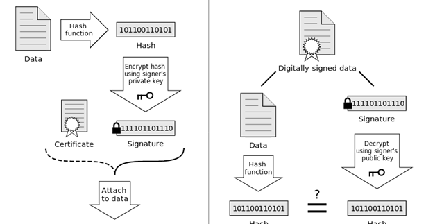 Techhub: Public-Key Cryptography Standards: PKCS#7 Digital Signature