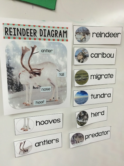 Grinch Day :: Reindeer :: Polar Express | Falling into First