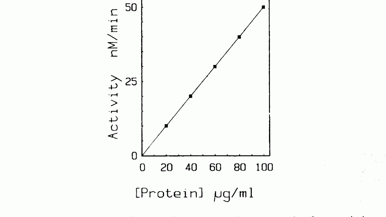 How To Calculate Protein Concentration From Absorbance Protein Choices how-to-calculate-protein-concentration-from-absorbance-protein-choices