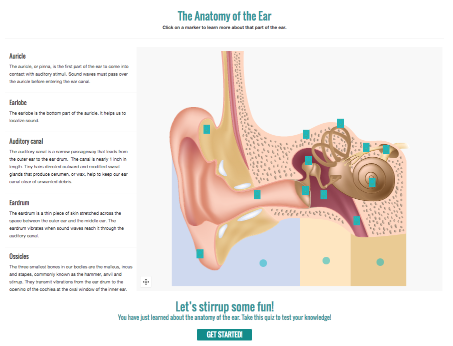 HearSayLW: Anatomy of the Ear - Test Your Knowledge