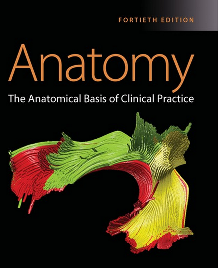Anatomiczny: Anatomiczny: