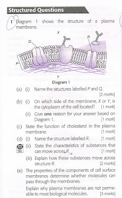 BIOLOGY: Chapter 3: Movement of Substances across the Plasma Membrane ...