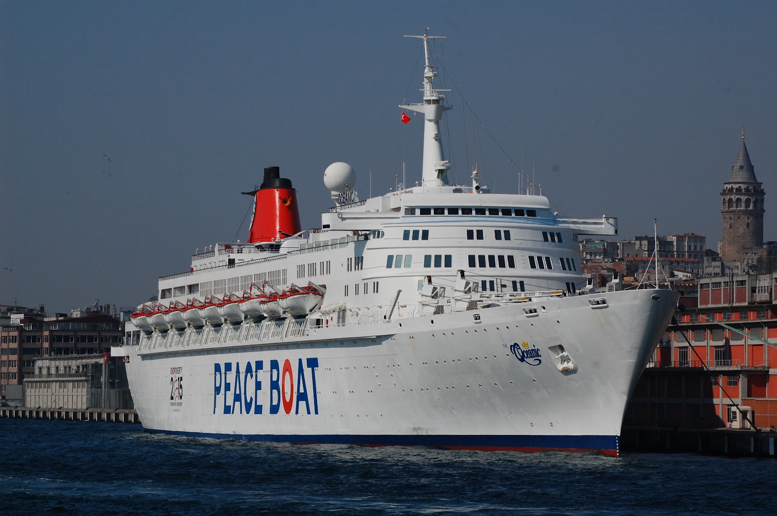 Monkey Puzzle Blog Peace Boat monkey-puzzle-blog-peace-boat