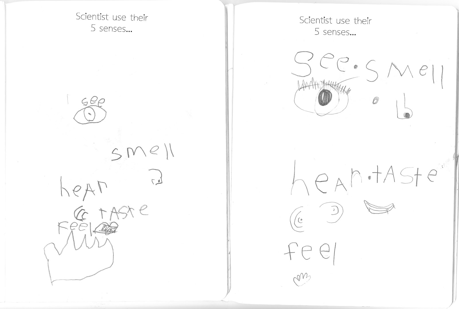 A Place Called Kindergarten: Science Notebooks Week - Monday