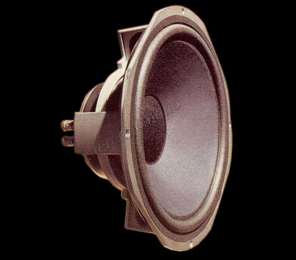 stereonomono: ESS amt-1a