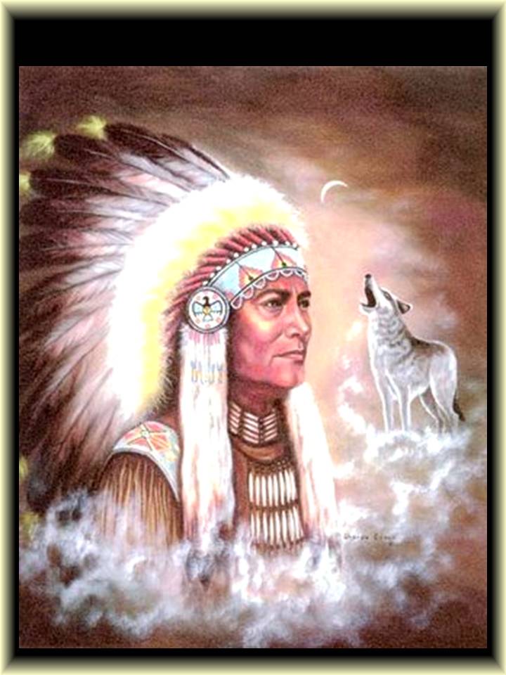 CHAMANES DEL MUNDO: LOS CHAMANES: ADIVINOS, SACERDOTES, EXORCISTAS Y ...