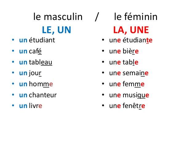 Le féminin et le masculin en françaisfrancais en ligne