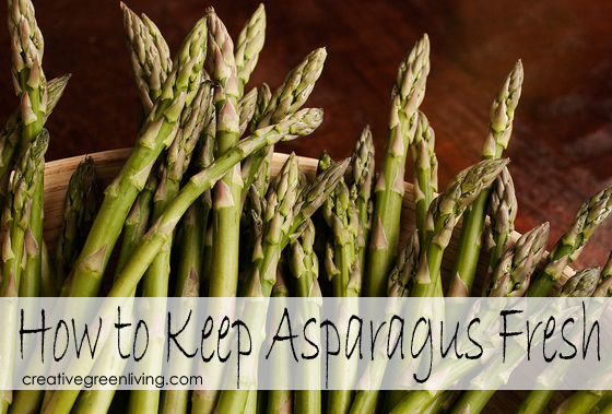 How to Keep Asparagus Fresh For a Week or More - Creative Green Living How to Keep Asparagus Fresh For a Week or More - Creative Green Living