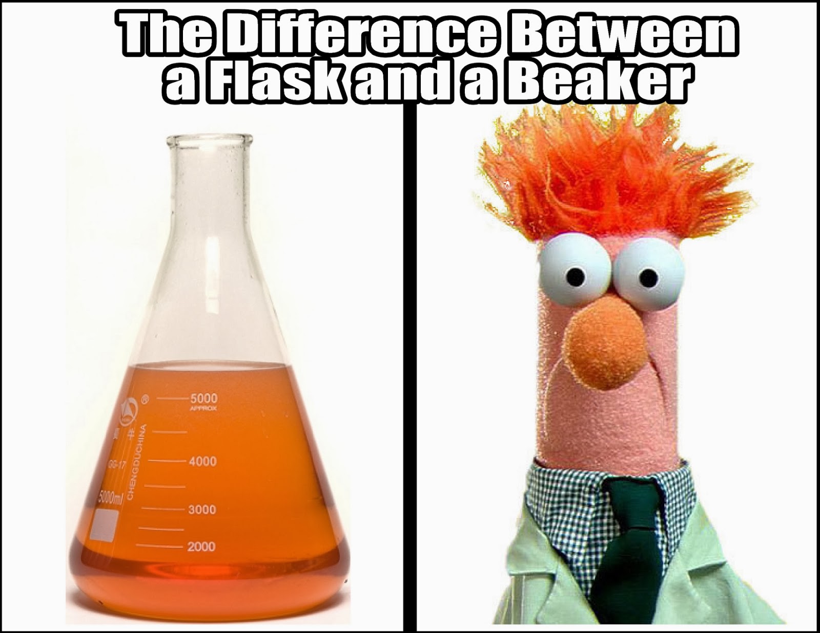 The Difference Between a Flask and a Beaker |Duck Sauce on Everything The Difference Between a Flask and a Beaker |Duck Sauce on Everything