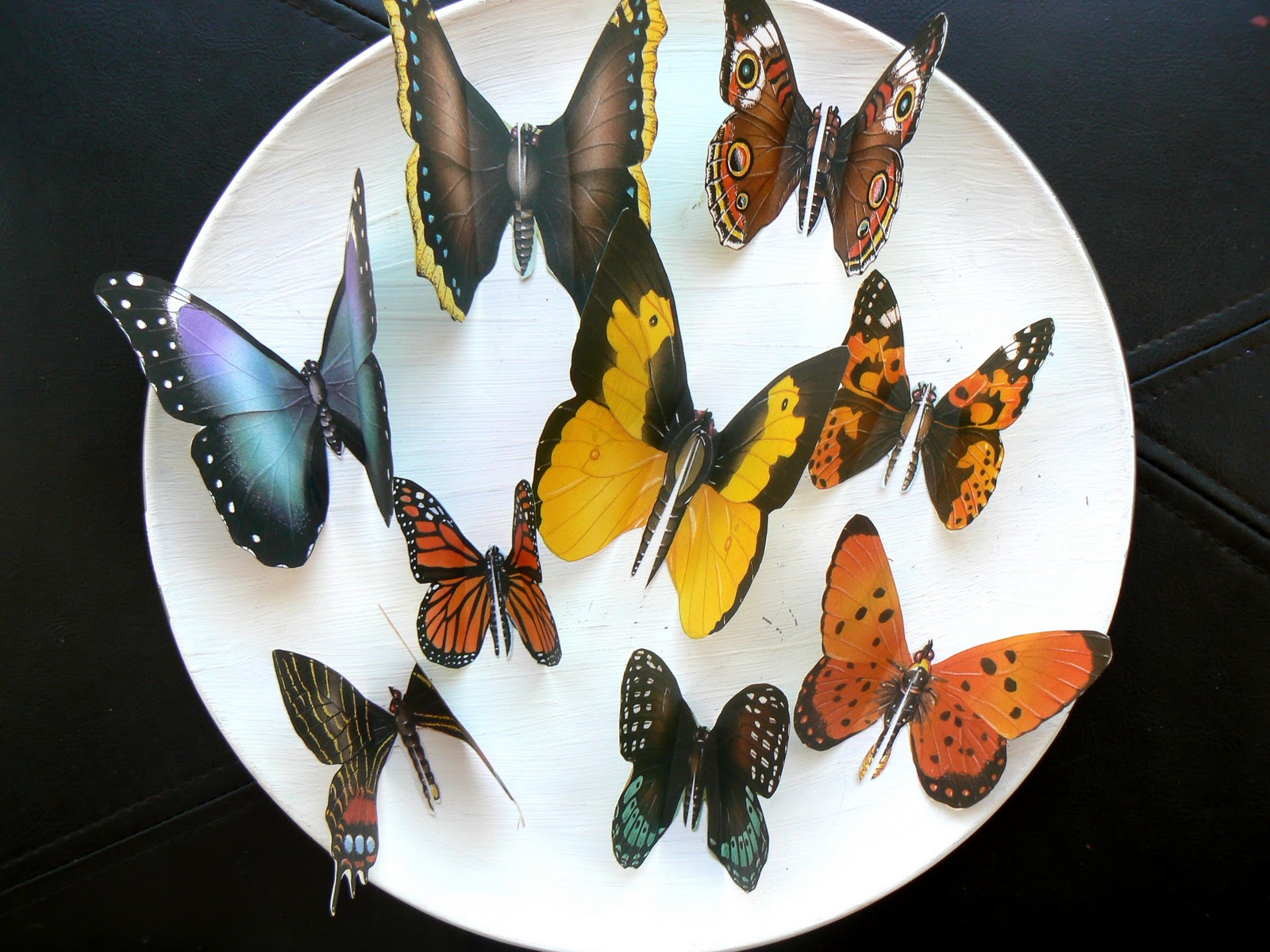 Having Fun at Home: Butterfly Symmetry Matching Game