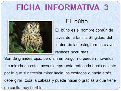 Leo, juego, aprendo y escribo: 4.1.- FICHA 3 EL BÚHO