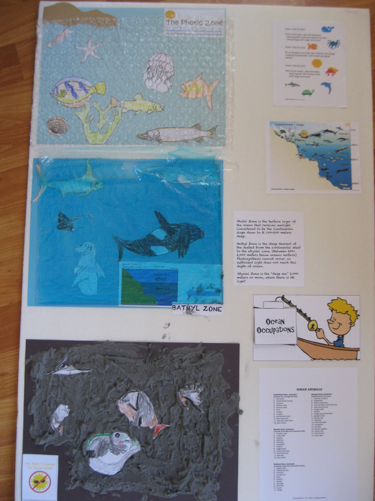 Solagratiamom: Week 19 - Ocean Zones Project