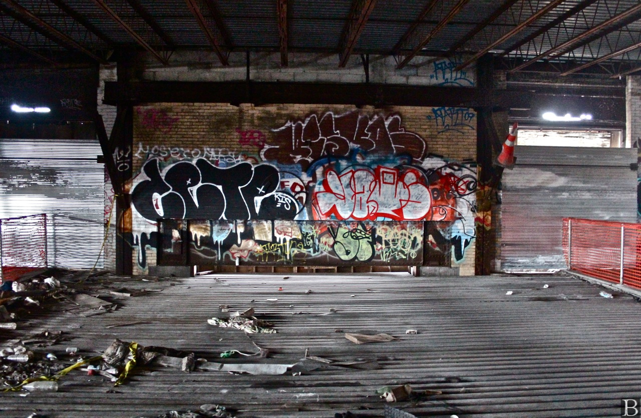 BRIAN KAVANAGH PHOTOGRAPHY: Gowanus BatCave