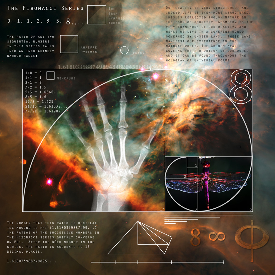 The Fascinating FIBONACCI NUMBERS Environment Clean Generations the-fascinating-fibonacci-numbers-environment-clean-generations