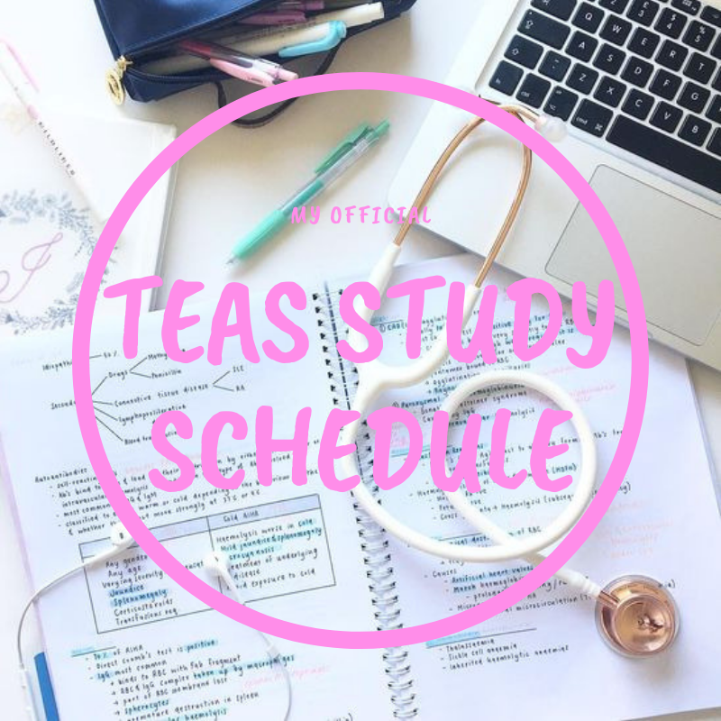 Life And Lattes My ATI TEAS Study Schedule Tips life-and-lattes-my-ati-teas-study-schedule-tips