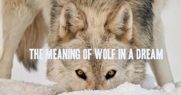 White Wolf : The Meaning of Wolf in a Dream