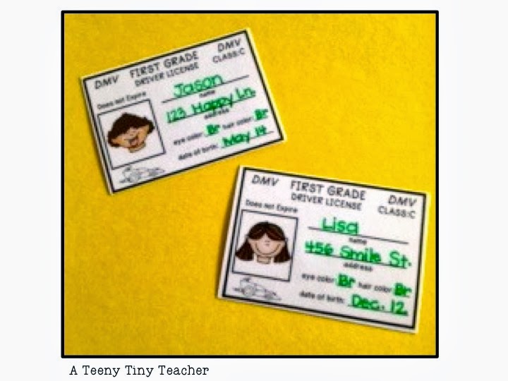 Let's Go! A Transportation Unit - A Teeny Tiny Teacher