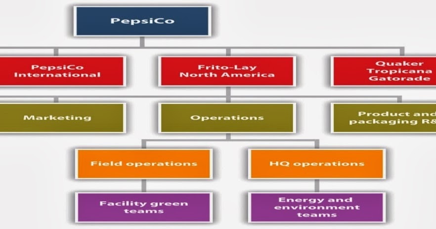 Understanding The Organizational Structure Of Pepsico A Case Understanding The Organizational Structure Of Pepsico A Case