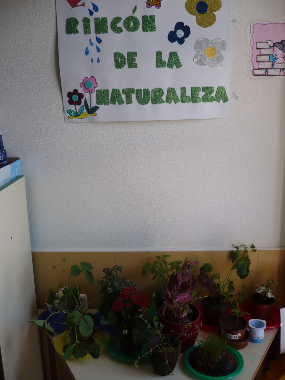 EL RINCÓN DE INFANTIL: NUESTRO RINCÓN DE LA NATURALEZA Y EL CUIDADO DE ... EL RINCÓN DE INFANTIL: NUESTRO RINCÓN DE LA NATURALEZA Y EL CUIDADO DE ...