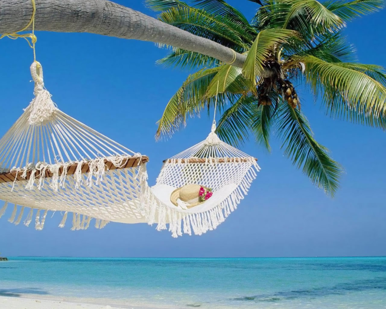 My Dream Holiday ~ Our Voice In English