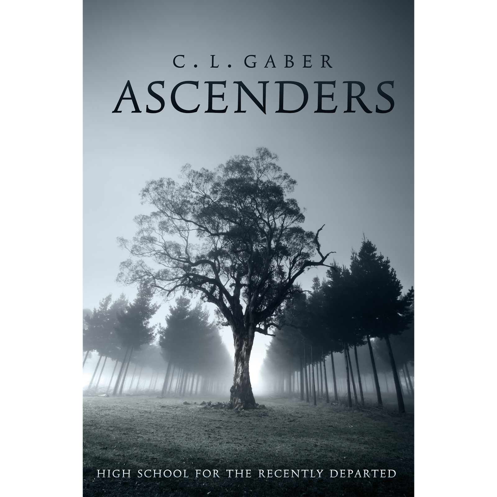 E M Tippetts Book Designs Giveaways Ascenders By C L Gaber e-m-tippetts-book-designs-giveaways-ascenders-by-c-l-gaber
