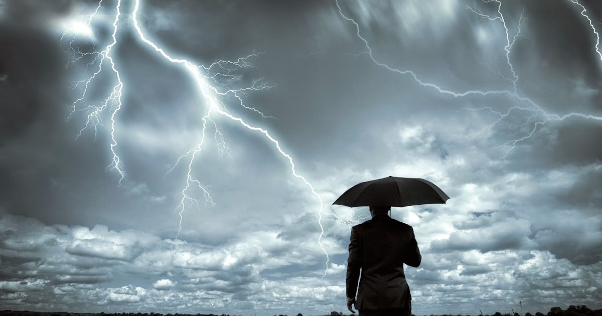 Cinemaphile: Weathering the Storm