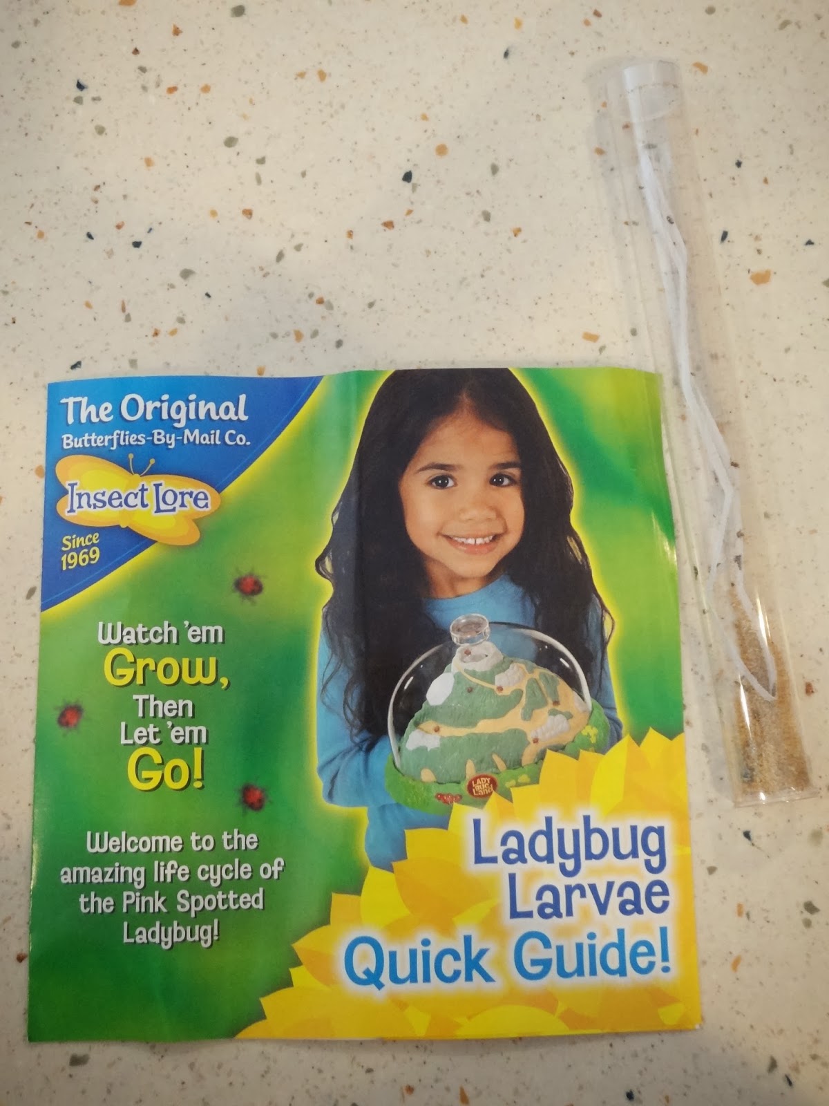 Get Buggy with Insect Lore Review and Giveaway - Mommy's Block Party