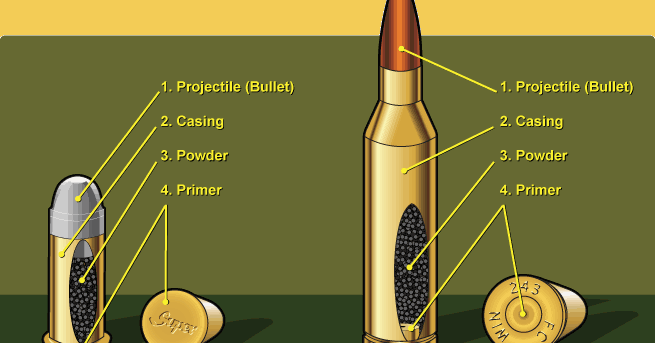 Cartuchos de fuego anular y fuego central | Armas de Fuego