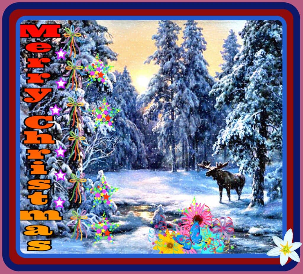 Flowers For Flower Lovers Merry Christmas Cards Designs flowers-for-flower-lovers-merry-christmas-cards-designs