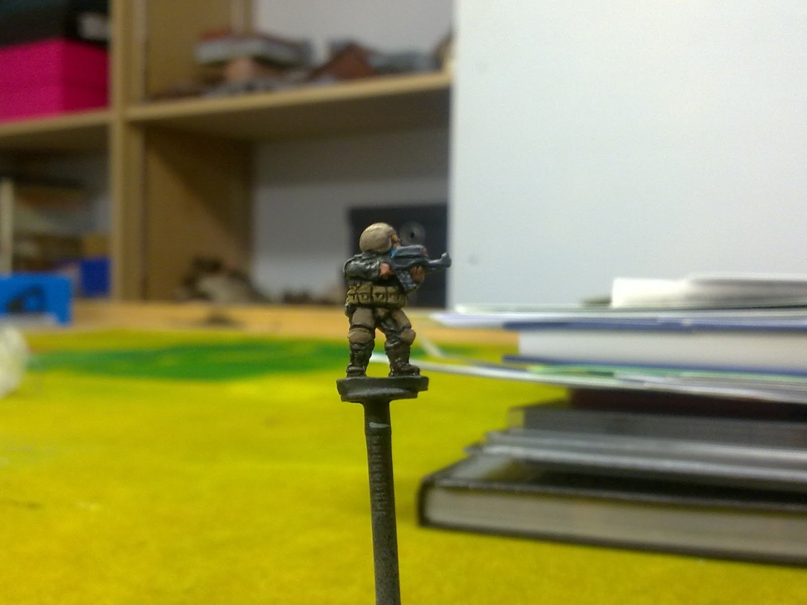 [TMP] "Militia Paint scheme" Topic