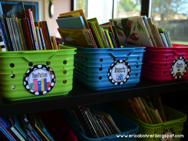Black & White Polka Dot Plus Brights Classroom Reveal