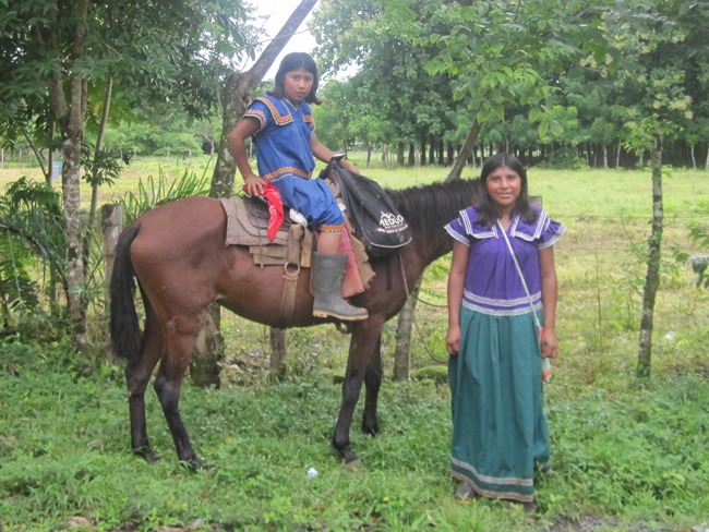 Comarcas Indigenas De Panamá