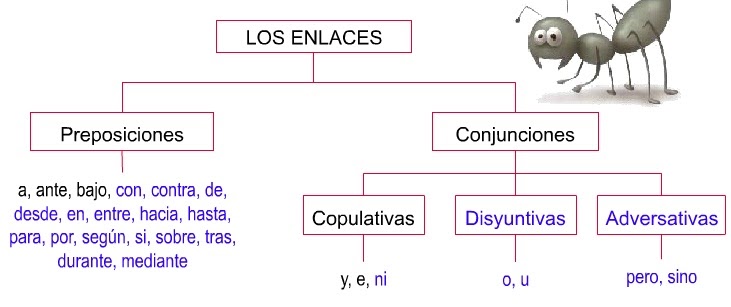 Listado y esquema de las preposiciones y las conjunciones|MUCHO MÁS QUE PAPEL Y LÁPIZ