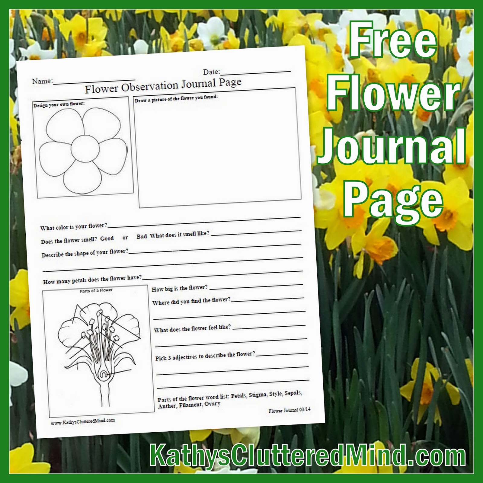 Kathys Cluttered Mind: Summertime Fun - Learn How Flowers Grow