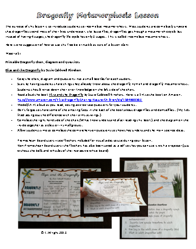 Dragonfly Spring Freebie - Captivate Science