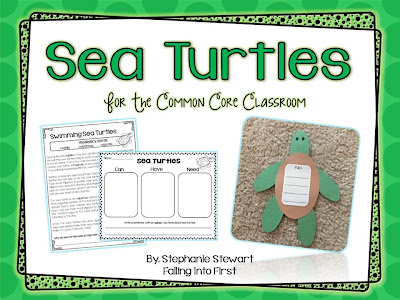 Tattle Boxes and Sea Turtles | Falling into First