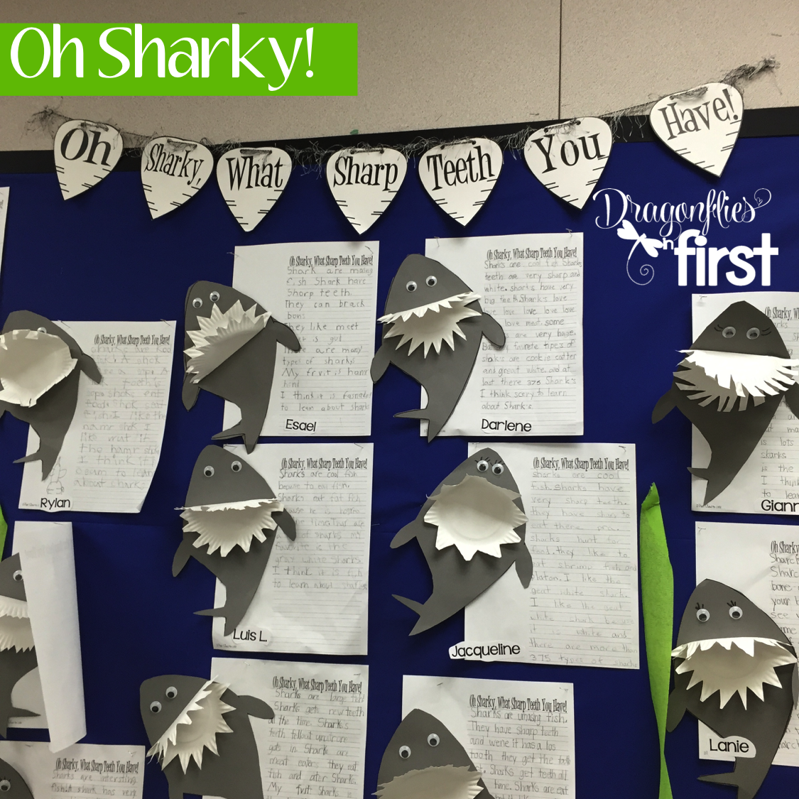 Writing Through the Sea! – Traci Clausen – Engaging Teaching