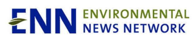 Progressive Charlestown: Low Cost Solar Cells Progressive Charlestown: Low Cost Solar Cells