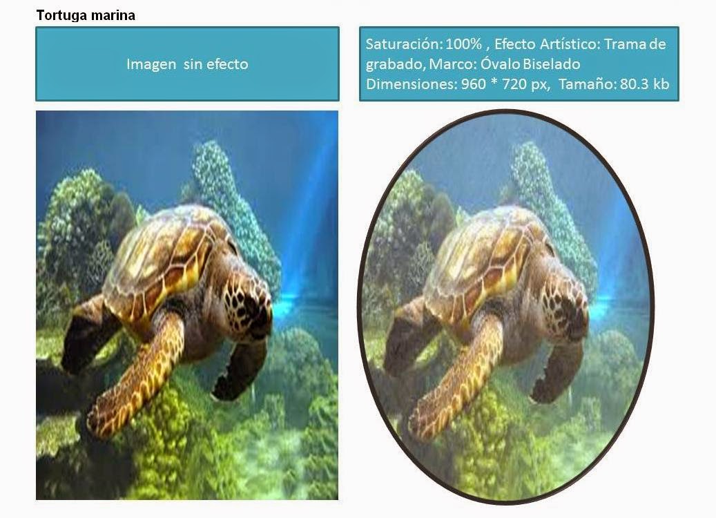 Educación Virtual: Presentacion de power point