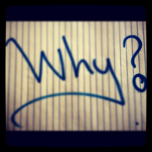 The Learner Why Do We Do What We Do the-learner-why-do-we-do-what-we-do