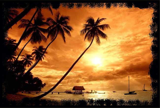 Secret Blog Of A Future Millionaire Millionaires Vision Board secret-blog-of-a-future-millionaire-millionaires-vision-board
