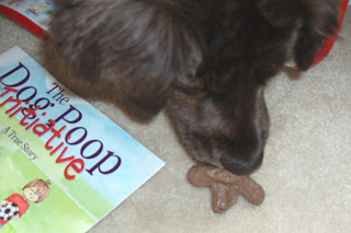 The Days of Johann, an agility dog!: The Dog Poop Initiative!