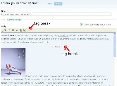 Drupal 6: Konfigurasi Wysiwyg dan Input Format | Pontianak Web & Open Source