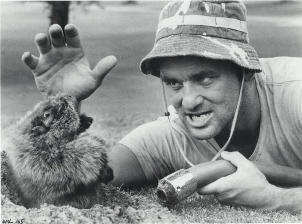 mystic valley musings: Groundhog Day mystic valley musings: Groundhog Day