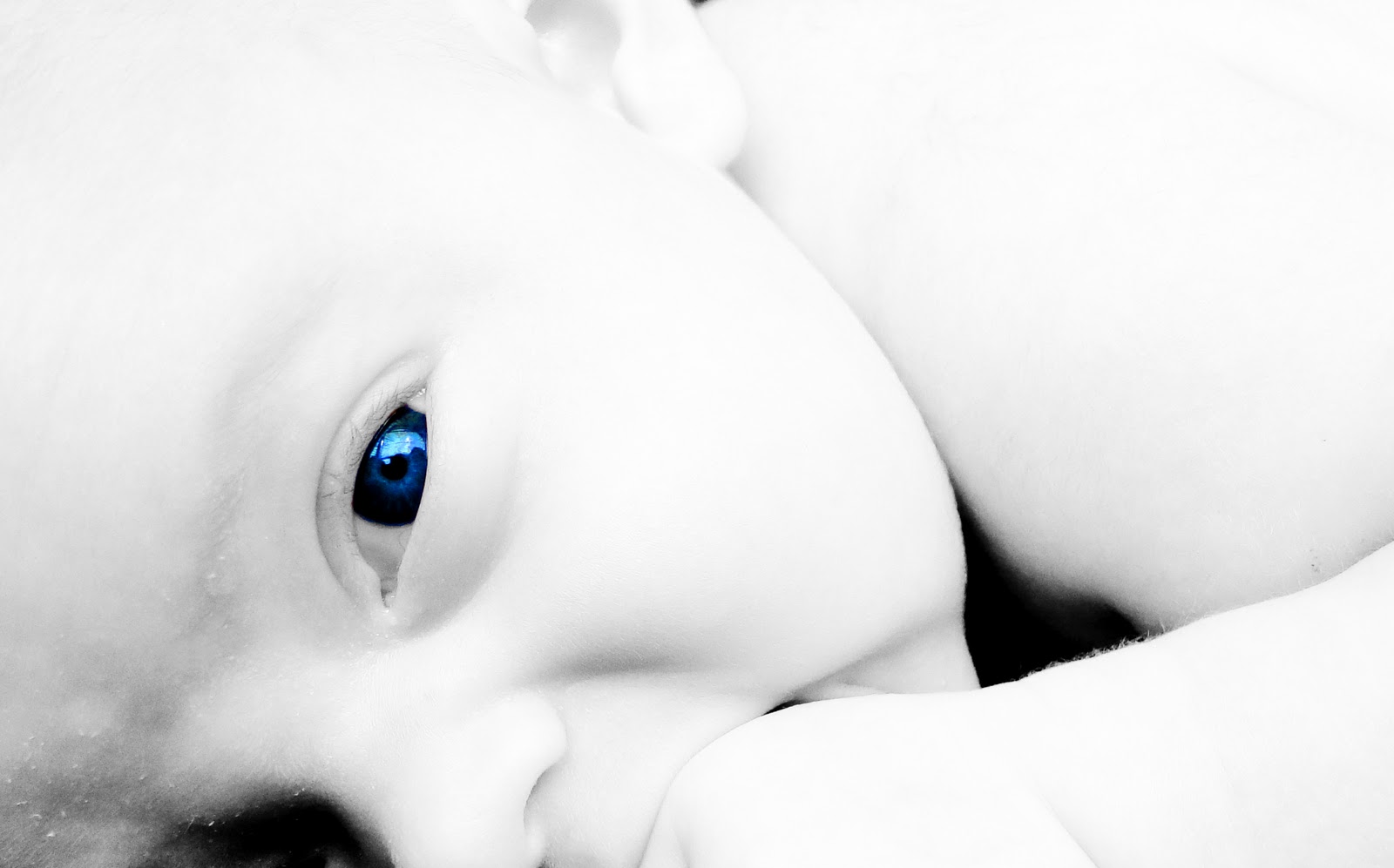 Alyssa Anding Photography More High Key Photos alyssa-anding-photography-more-high-key-photos