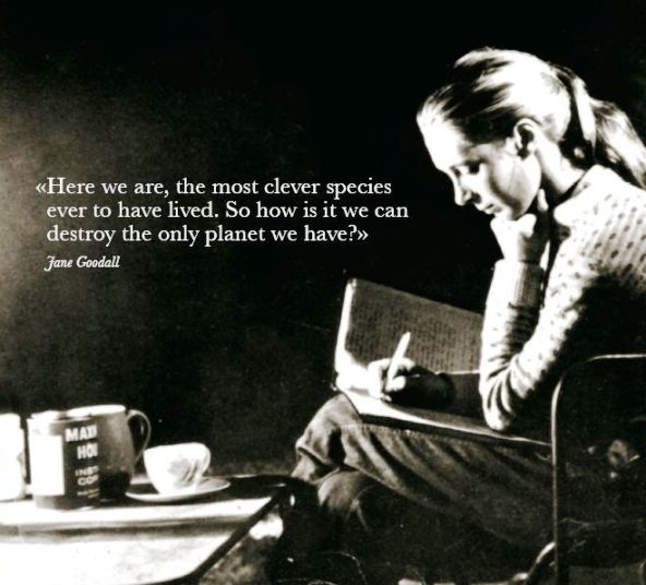 Jane Goodall Quotes. QuotesGram